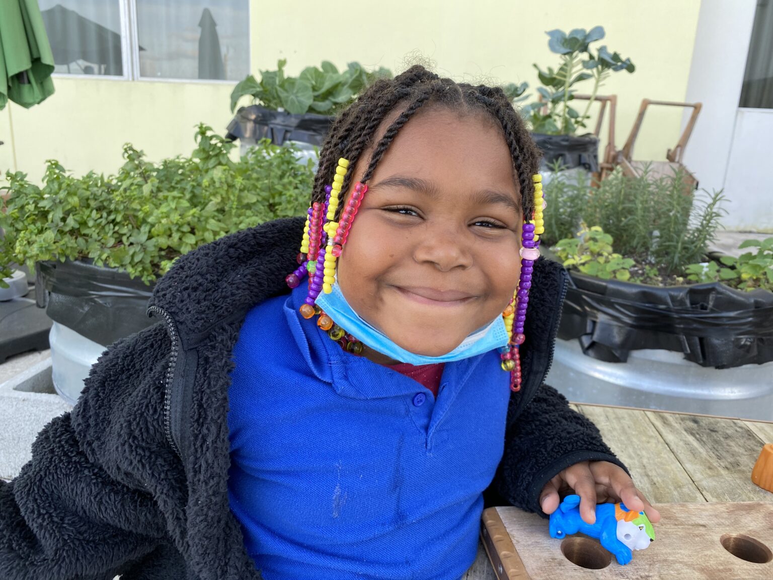 All Programs | Lotus House