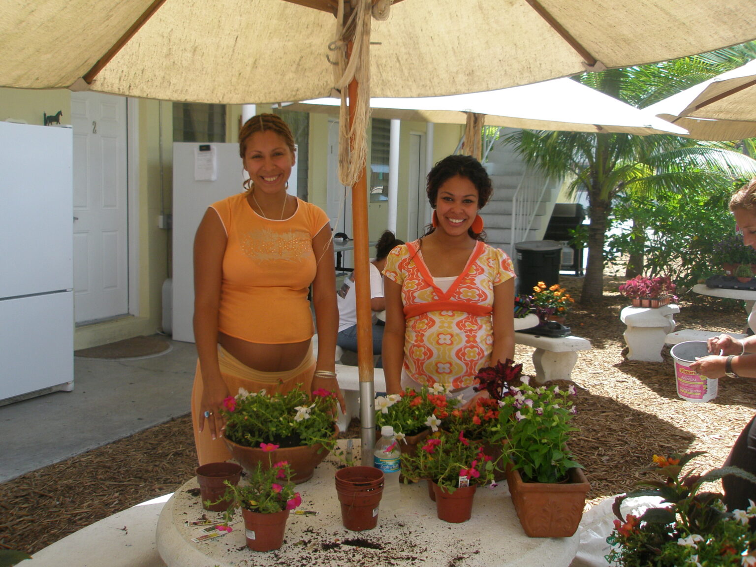 History | Lotus House